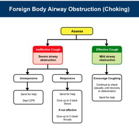 World Rugby Passport - Management of complete airway obstruction